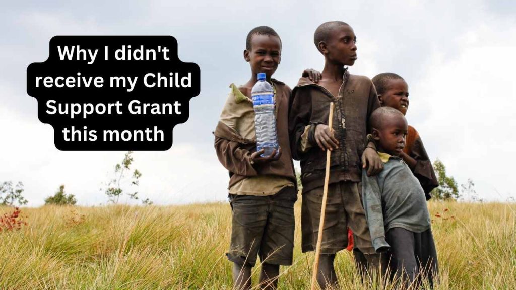 I didn't receive my Child Support Grant this month - SASSA Application