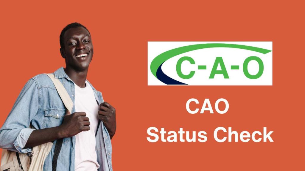 How to check the UWC application status - SASSA Application